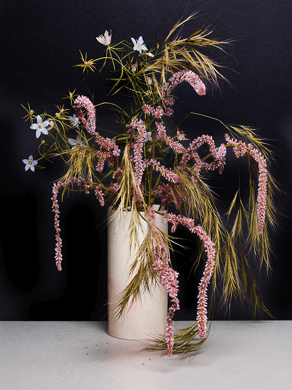 IRIS VELGHE | 14/01/26 | The Mag | The Agents Club